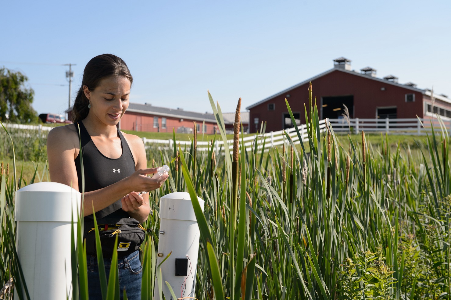 Work-Study Research Assistant Program | Office of Undergraduate Research