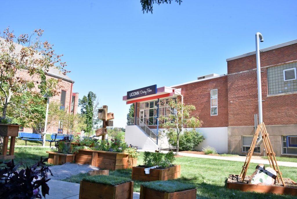 Co-op Legacy Fellow Elisabeth Helmin | Office of Undergraduate Research