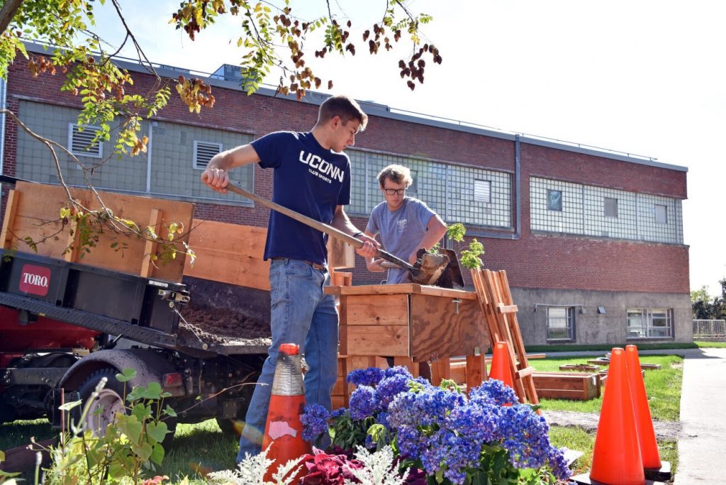Co-op Legacy Fellow Elisabeth Helmin | Office of Undergraduate Research