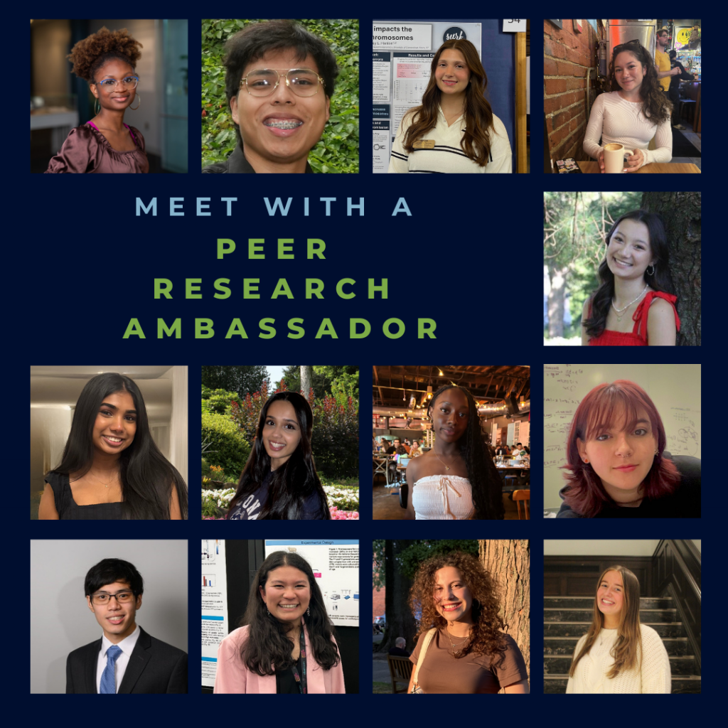 Meet with a Peer Research Ambassador | Office of Undergraduate Research